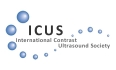 ICUS_Logo_Aug_2018 - ICE
